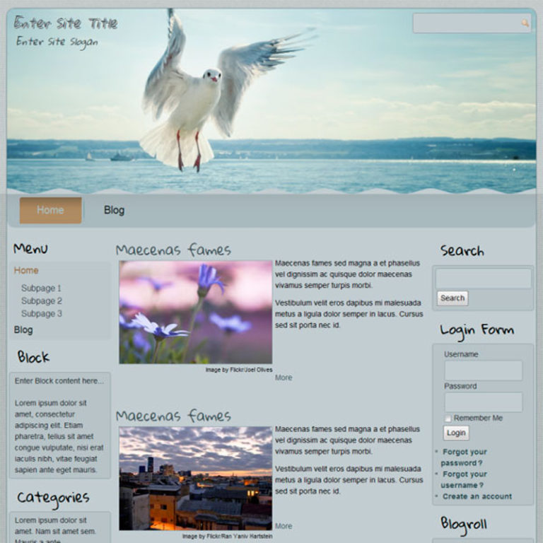 Seagull Demo Site » Try Seagull without installing it